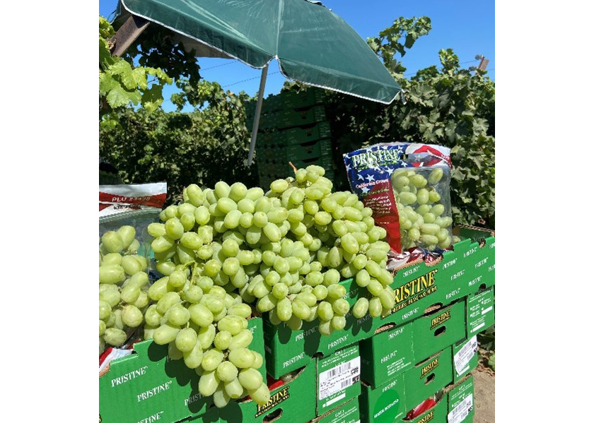 Four Star Fruit concludes California grape season | The Packer